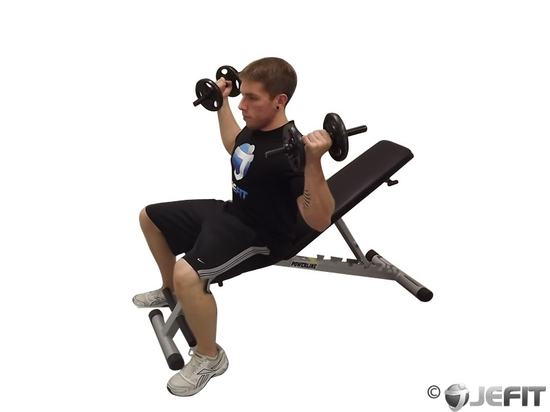 Dumbbell Seated Inner Biceps Curl Exercise Database Jefit Best Android And Iphone Workout