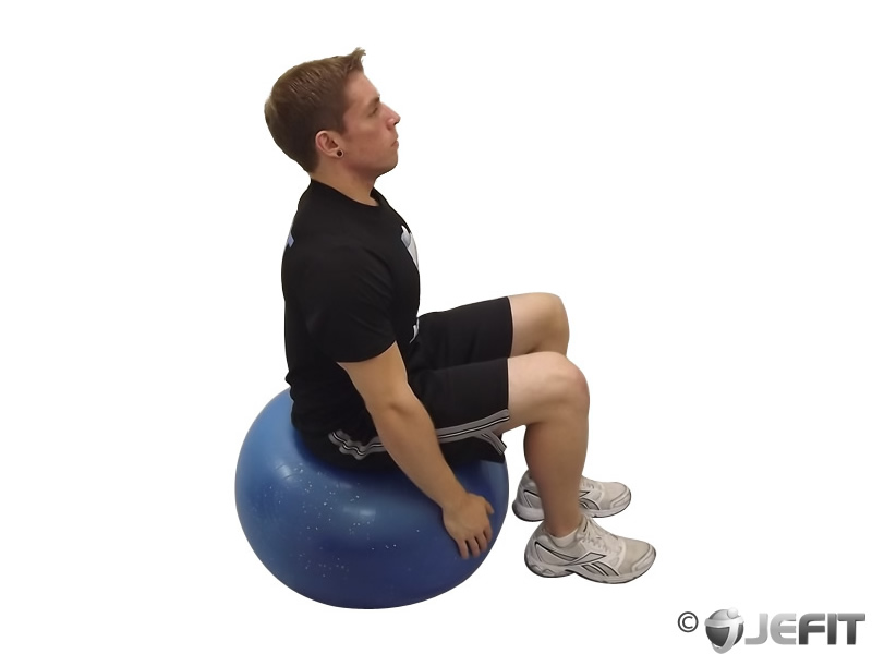 Exercise Ball Seated Neck Extensor Stretch - Exercise Database | Jefit ... Exercise Ball Seated Neck Extensor Stretch - Exercise Database | Jefit ...
