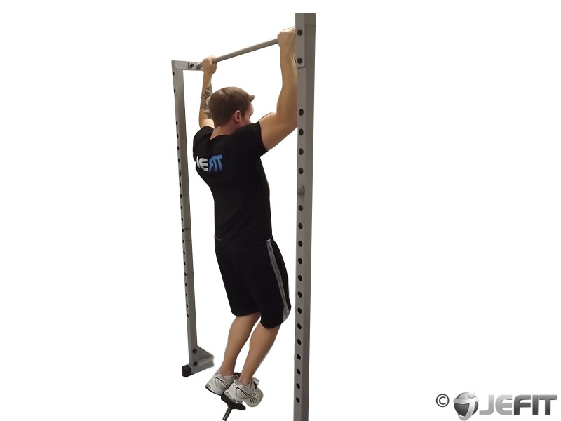 Weighted Pull Ups - Exercise Database | Jefit - Best Android and iPhone ... Weighted Pull Ups - Exercise Database | Jefit - Best Android and iPhone ...