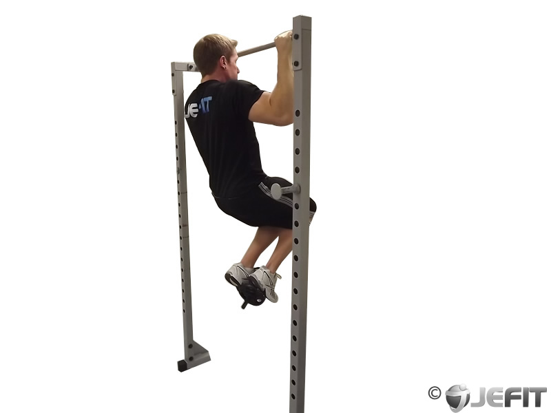Weighted Pull Ups - Exercise Database | Jefit - Best Android and iPhone ... Weighted Pull Ups - Exercise Database | Jefit - Best Android and iPhone ...