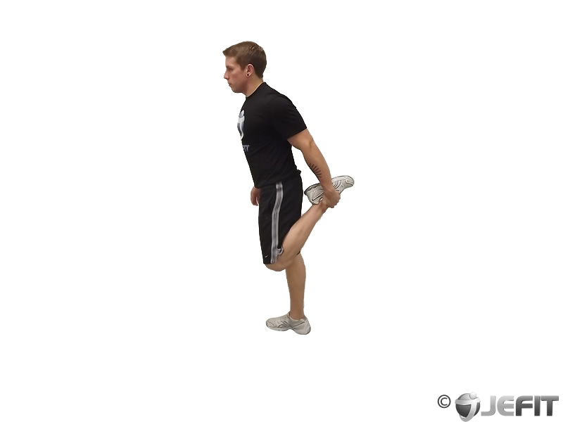 Quad Stretch - Exercise Database | Jefit - Best Android and iPhone ... Quad Stretch - Exercise Database | Jefit - Best Android and iPhone ...