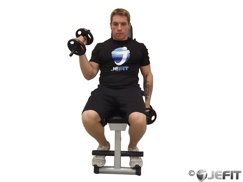 Dumbbell Alternate Incline Hammer Curl - Exercise Database | Jefit ... Dumbbell Alternate Incline Hammer Curl - Exercise Database | Jefit ...