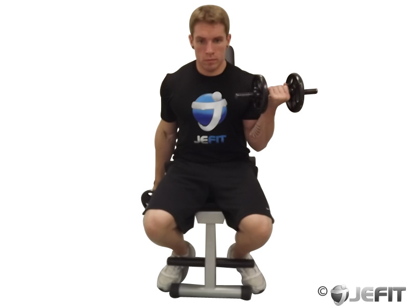 Dumbbell Alternate Seated Curl - Exercise Database | Jefit - Best ... Dumbbell Alternate Seated Curl - Exercise Database | Jefit - Best ...