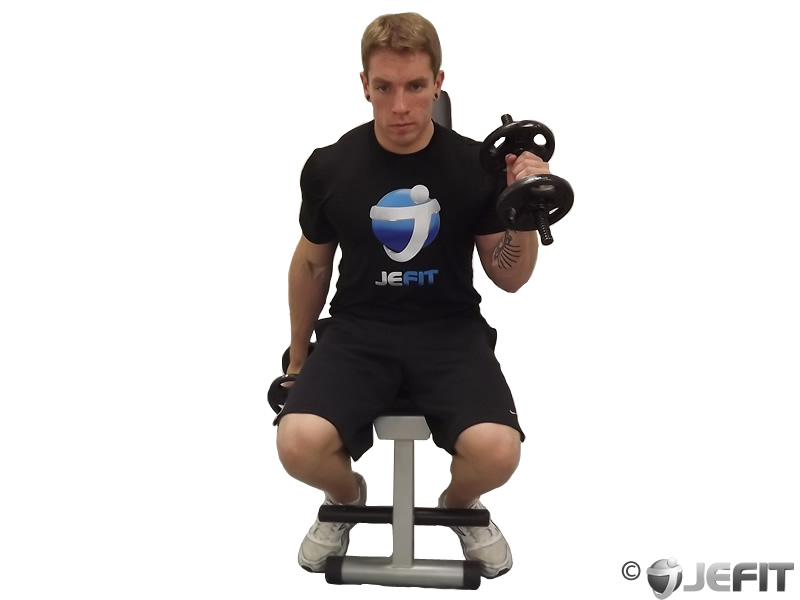 Dumbbell Alternate Seated Hammer Curl - Exercise Database | Jefit ... Dumbbell Alternate Seated Hammer Curl - Exercise Database | Jefit ...