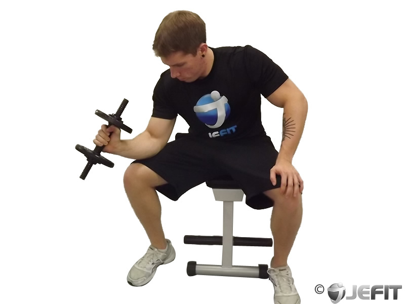 Dumbbell One Arm Seated Neutral Wrist Curl Exercise Database Jefit