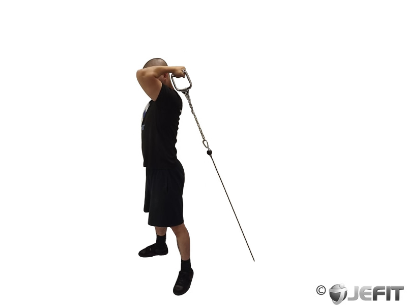 Cable Standing Reverse Grip One Arm Overhead Tricep Extension Exercise Database Jefit Best