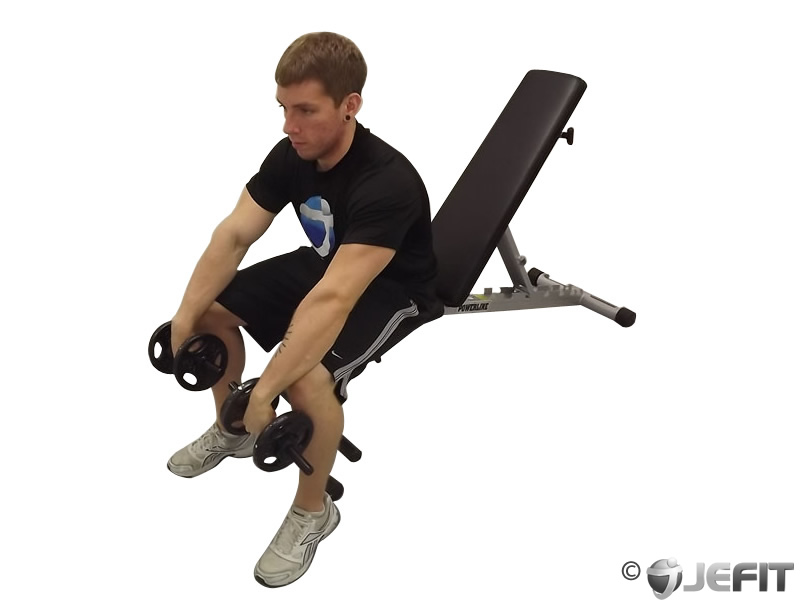 Dumbbell Seated Palms Down Wrist Curl Exercise Database Jefit