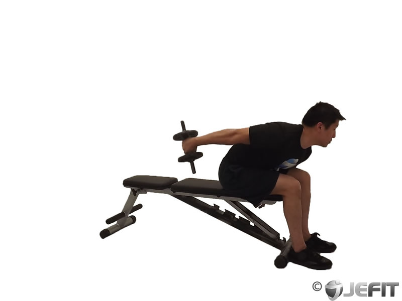 Dumbbell Seated Bent Over Triceps Extension - Exercise Database | Jefit ... Dumbbell Seated Bent Over Triceps Extension - Exercise Database | Jefit ...