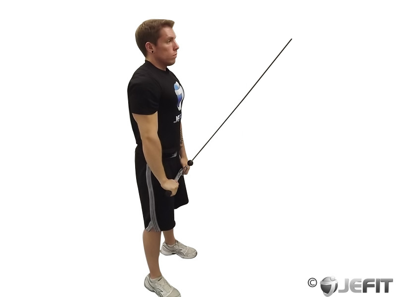 Cable Straight Arm Push Down - Exercise Database | Jefit - Best Android ... Cable Straight Arm Push Down - Exercise Database | Jefit - Best Android ...