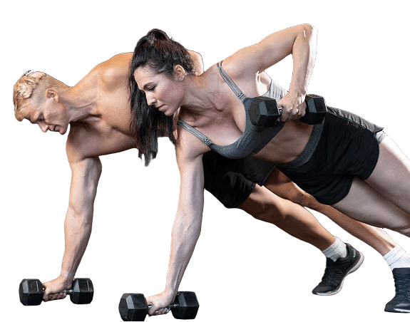 Workout Routine Database - JEFIT