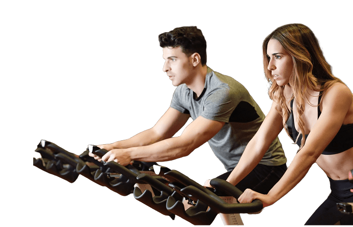 Workout Routine Database - JEFIT