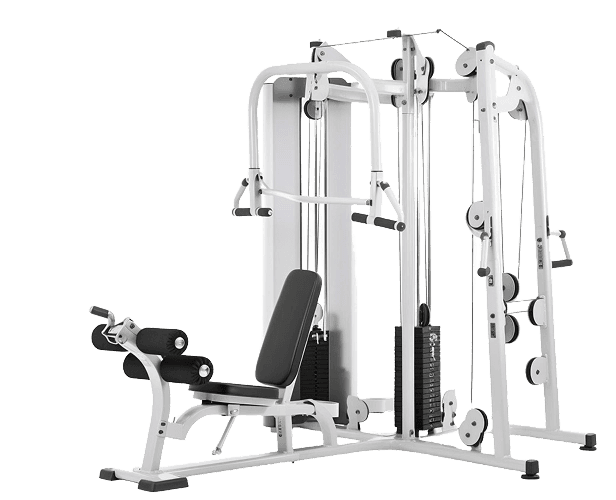 Workout Routine Database - JEFIT