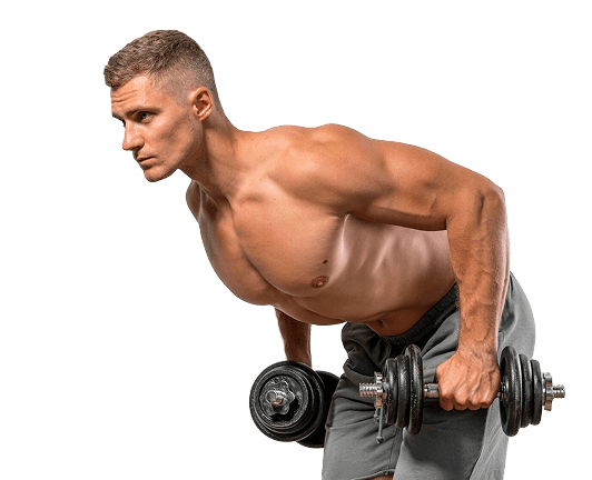 Workout Routine Database - JEFIT