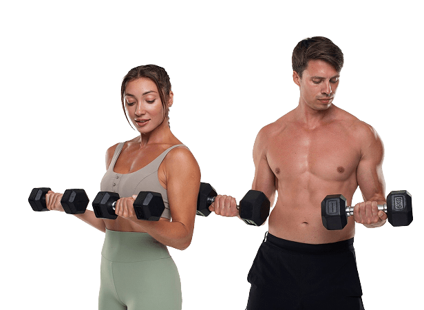 Workout Routine Database - JEFIT