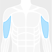 Jeff Nippard's Ultimate PPL Program - 5x/Week - JEFIT