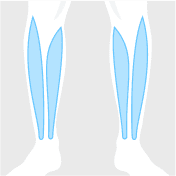 Torso Limb Split - JEFIT
