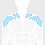 Jeff Nippard's Ultimate PPL Program - 5x/Week - JEFIT