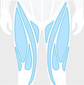 Lean Beef Patty gym program - JEFIT