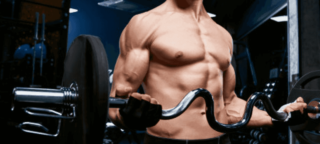 6 Day Bulking Split - JEFIT