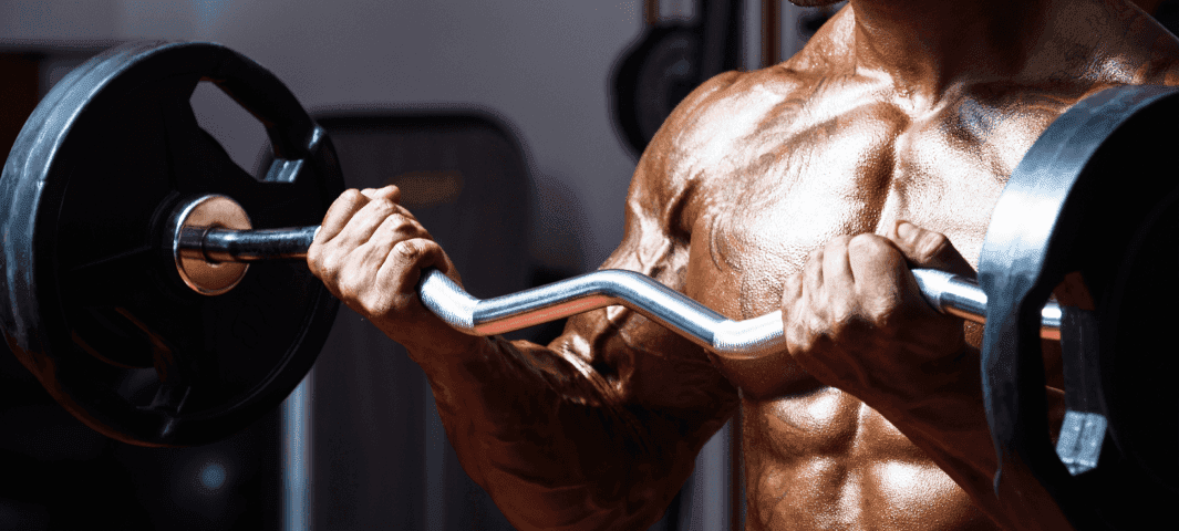 PPL-Arnold split - JEFIT