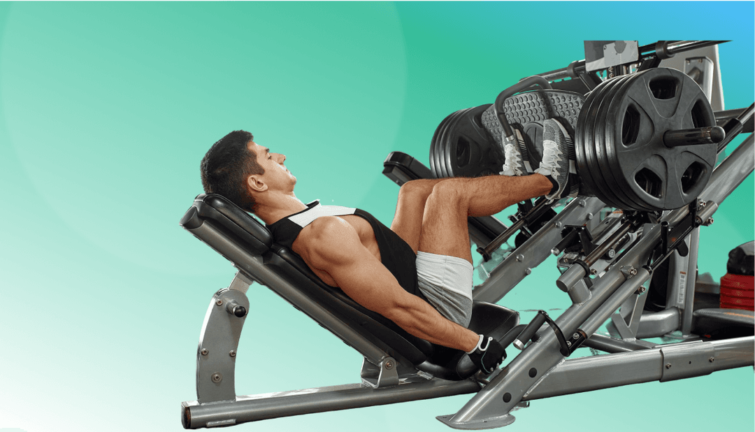 PPL X Arnold split - JEFIT