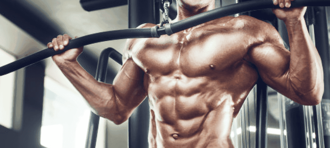 5 Day Muscle Mass Split - JEFIT
