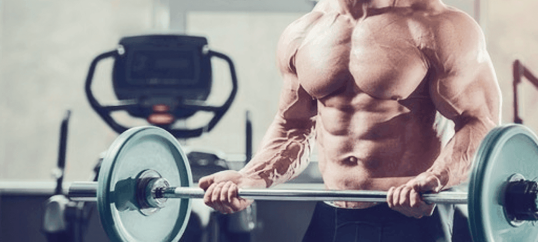 Lean Beef Patty gym program - JEFIT