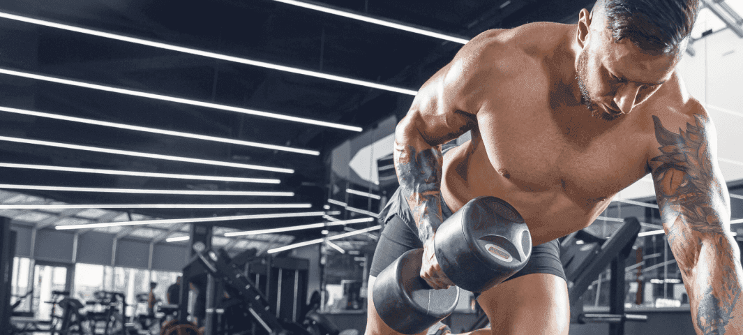 Jeff Nippard Ultimate PPL Program - 4 Days Split - Phase 1 - JEFIT