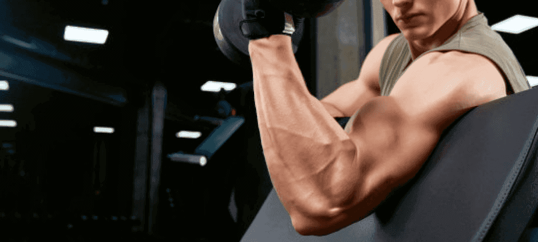 Full Body 5-Day (Jeff Nippard) - JEFIT