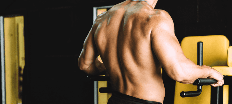 Workout Routine Database - JEFIT