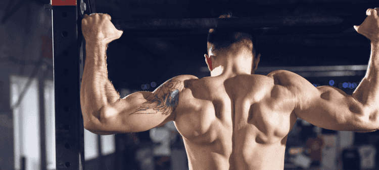 Jeff Nippard 4day/wk Upper/Lower Split - JEFIT