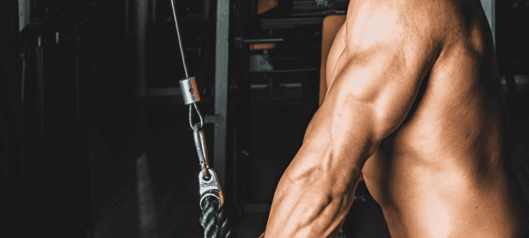 Garou Workout 6 Day Split Push/Pull - JEFIT