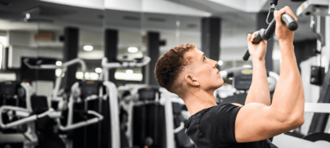 Workout Routine Database - JEFIT