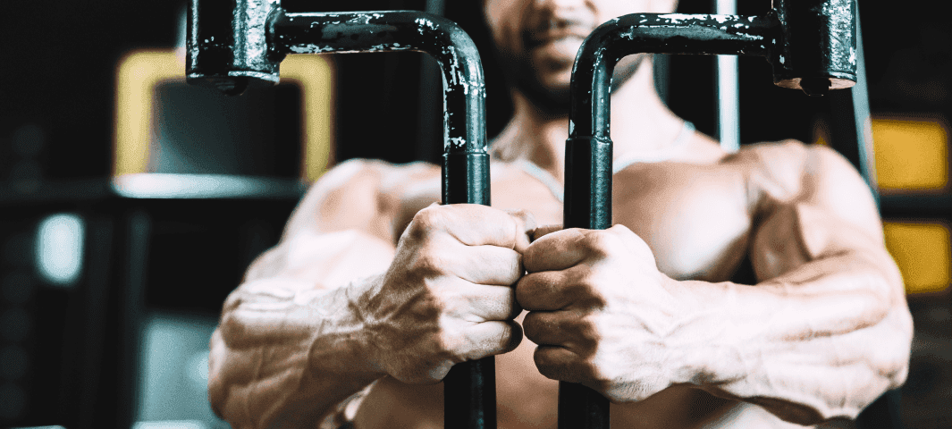 Workout Routine Database - JEFIT