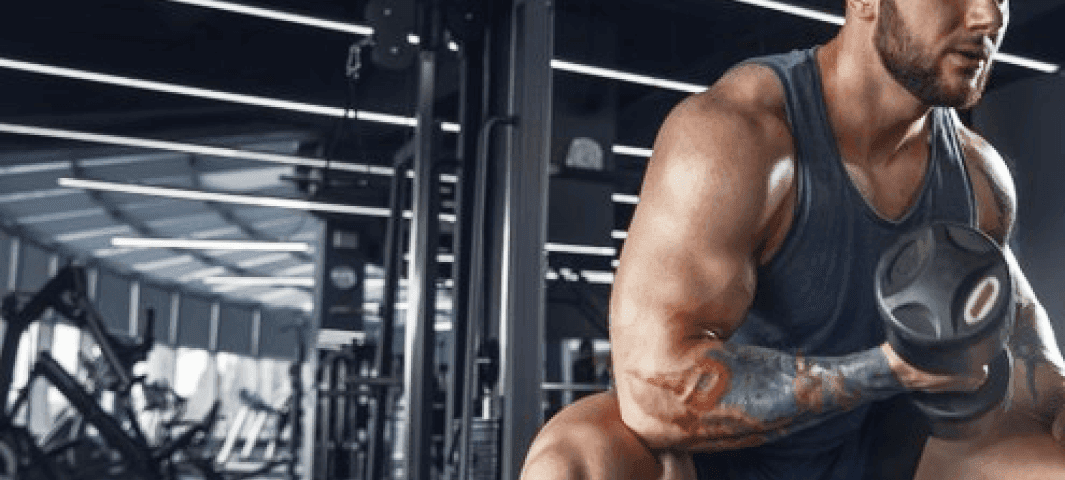 Full Body 5-Day (Jeff Nippard) - JEFIT