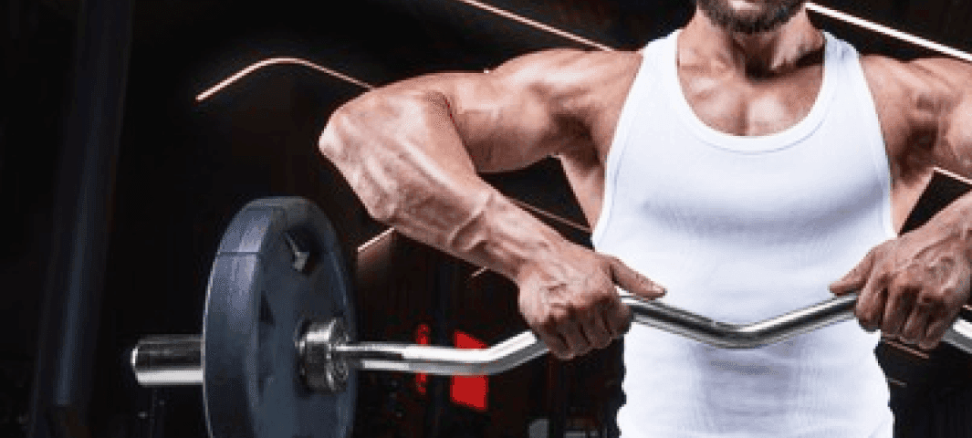 3 Day Chest-Back/Arms/Shoulders/Legs Split - JEFIT