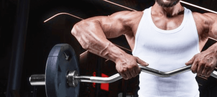 Jeff Nippard Ultimate PPL Program - 4 Days Split - Phase 1 - JEFIT