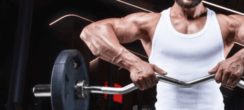 PPL X Arnold split - JEFIT