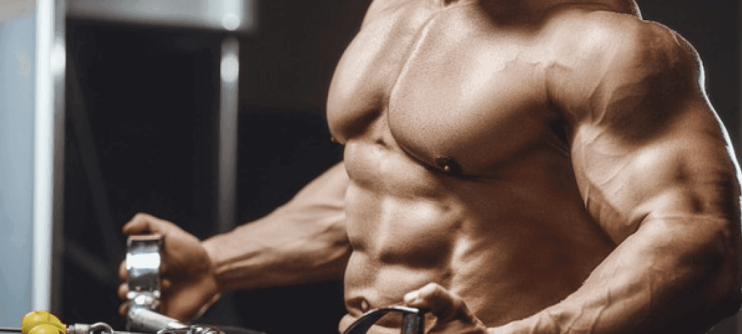 PPL-Arnold split - JEFIT