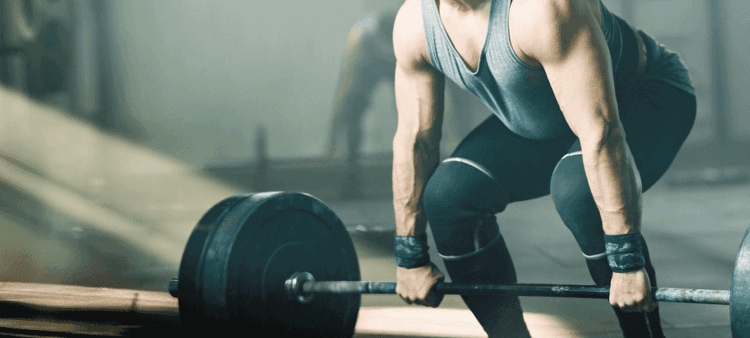 Lean Beef Patty gym program - JEFIT