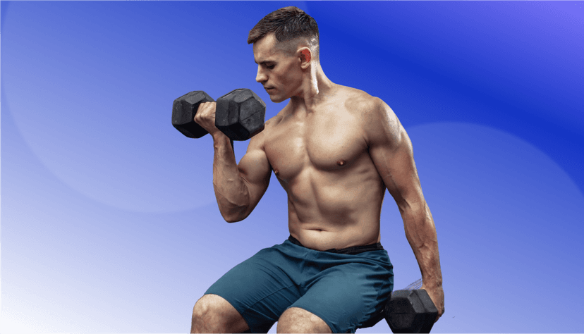 Torso Limb Split - JEFIT