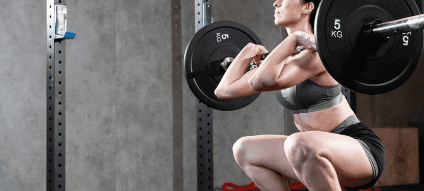 Torso Limb Split - JEFIT