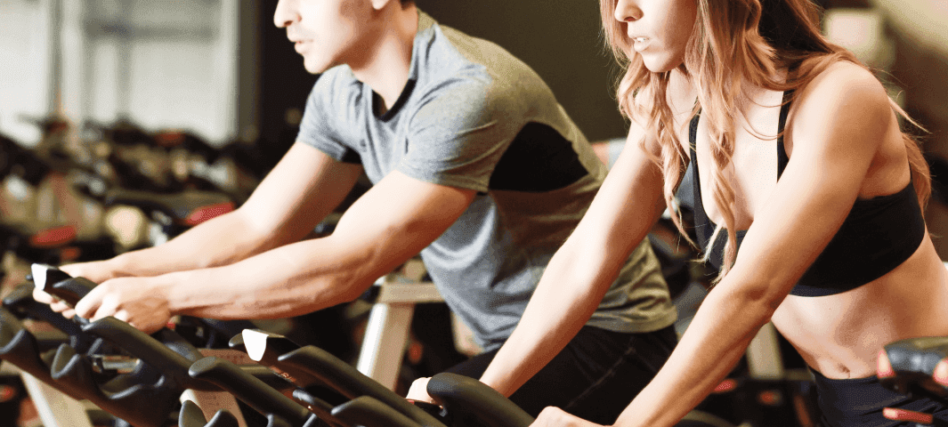 Workout Routine Database - JEFIT