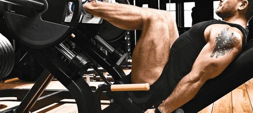 Jeff Nippard Ultimate PPL Program - 4 Days Split - Phase 1 - JEFIT