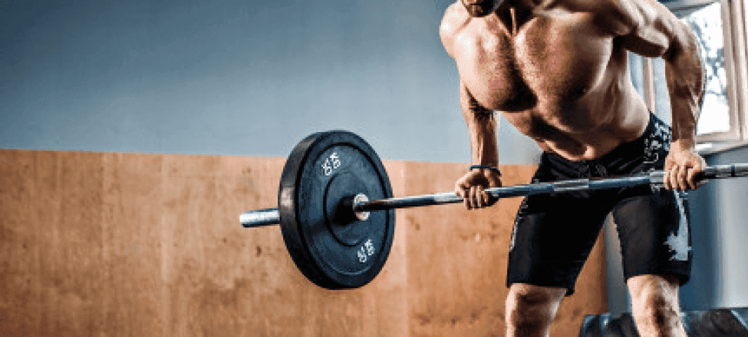 3 Day Chest-Back/Arms/Shoulders/Legs Split - JEFIT