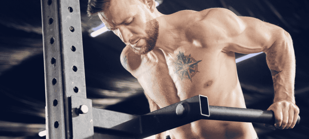 Jeff Nippard Ultimate PPL Program - 4 Days Split - Phase 1 - JEFIT