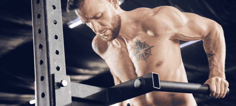 Garou Workout 6 Day Split Push/Pull - JEFIT