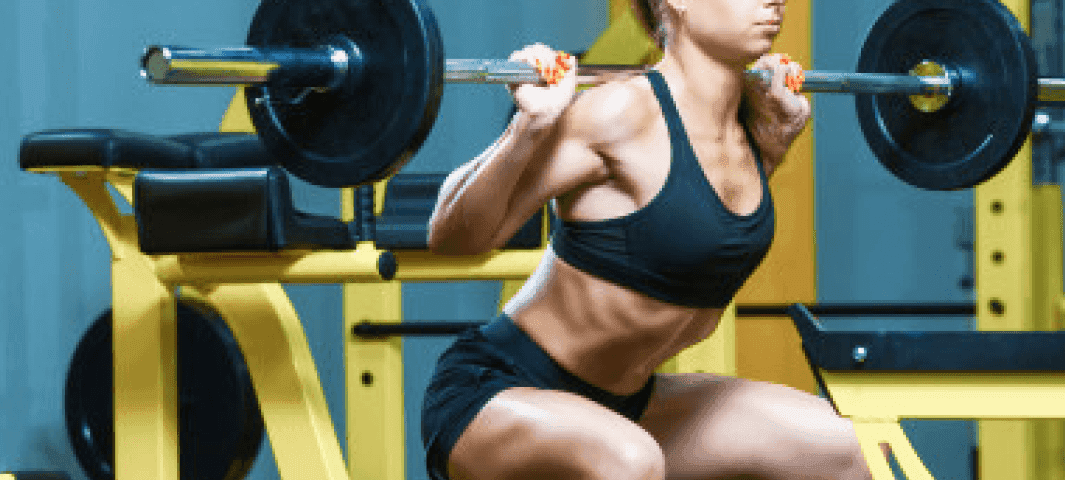 Workout Routine Database - JEFIT