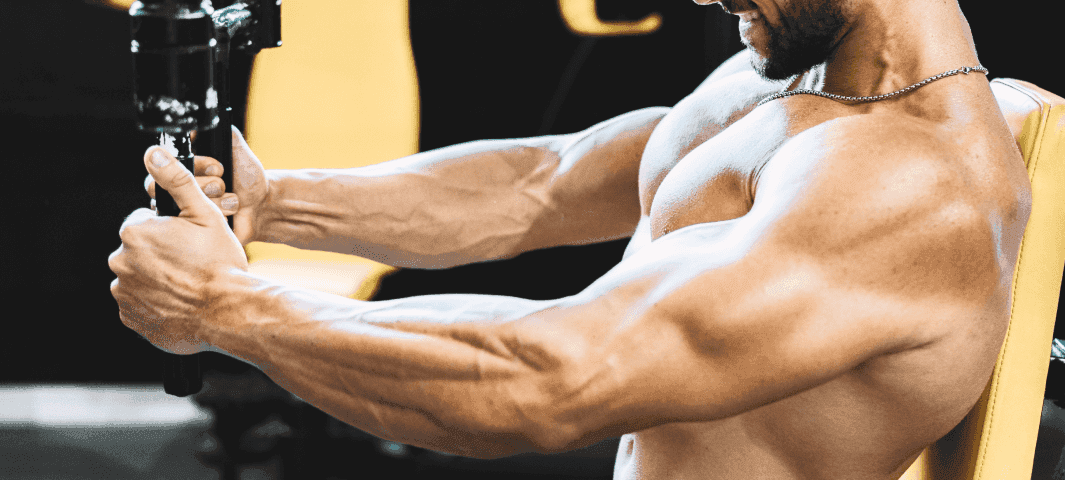 Torso Limb Split - JEFIT