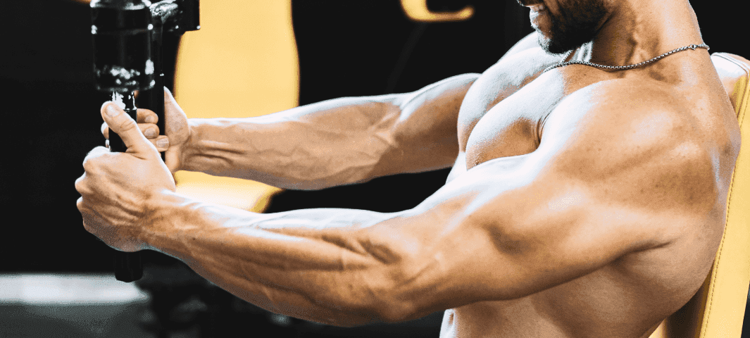 Full Body 5-Day (Jeff Nippard) - JEFIT